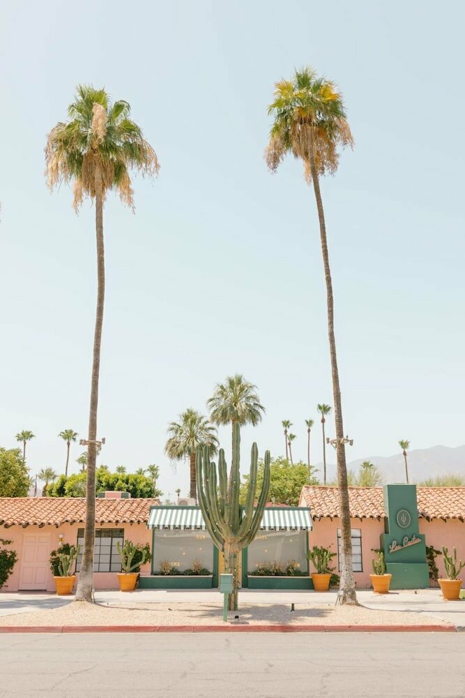 Otel Les Cactus, Palm Springs, foto