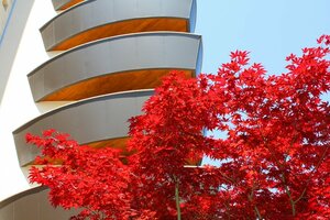 Condominio Torre Bahia (Friuli-Venezia Giulia, Provincia di Udine, Lignano Sabbiadoro, Viale Platani), otel  Lignano Sabbiadoro'dan