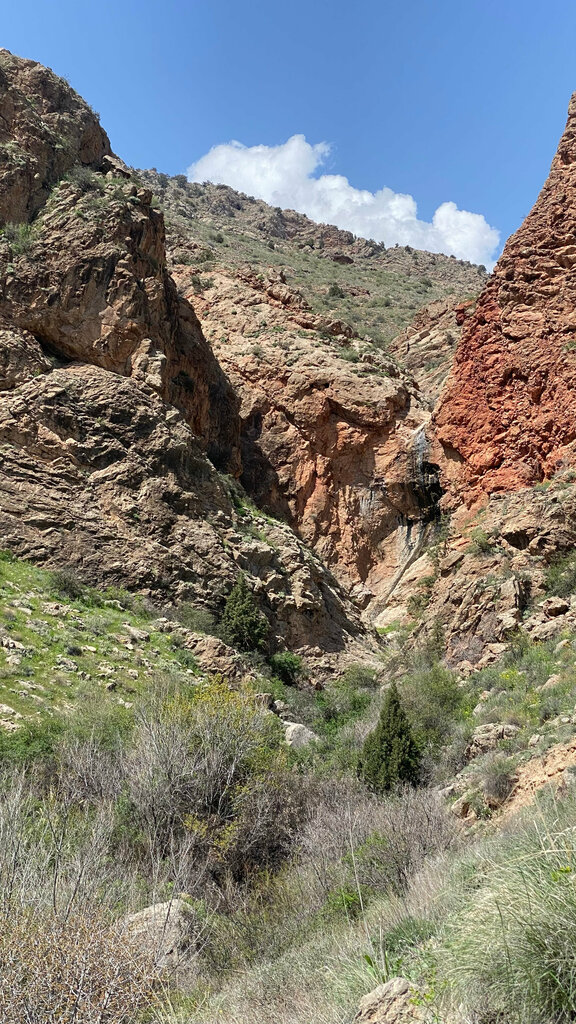 Doğa Hells Canyon, Ararat, foto