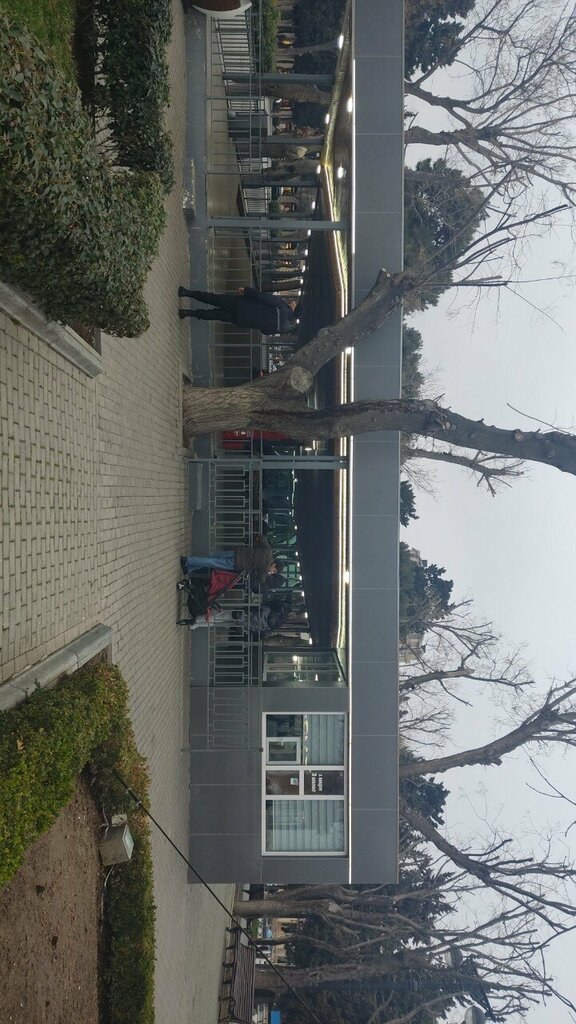 Atraksiyon Avtodrom, Bakü, foto