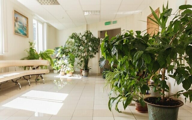 Madde bağımlılığı tedavi merkezi Alteya, Balaşiha, foto