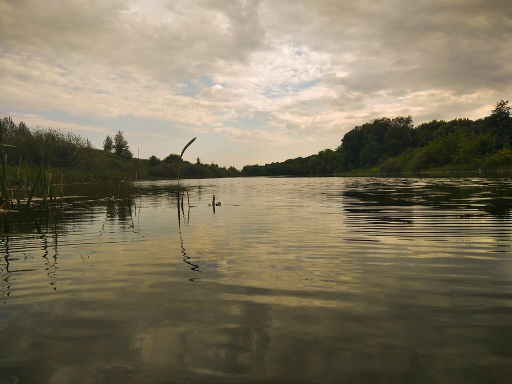 Plaj Громушинский пляж, Miçurinsk, foto