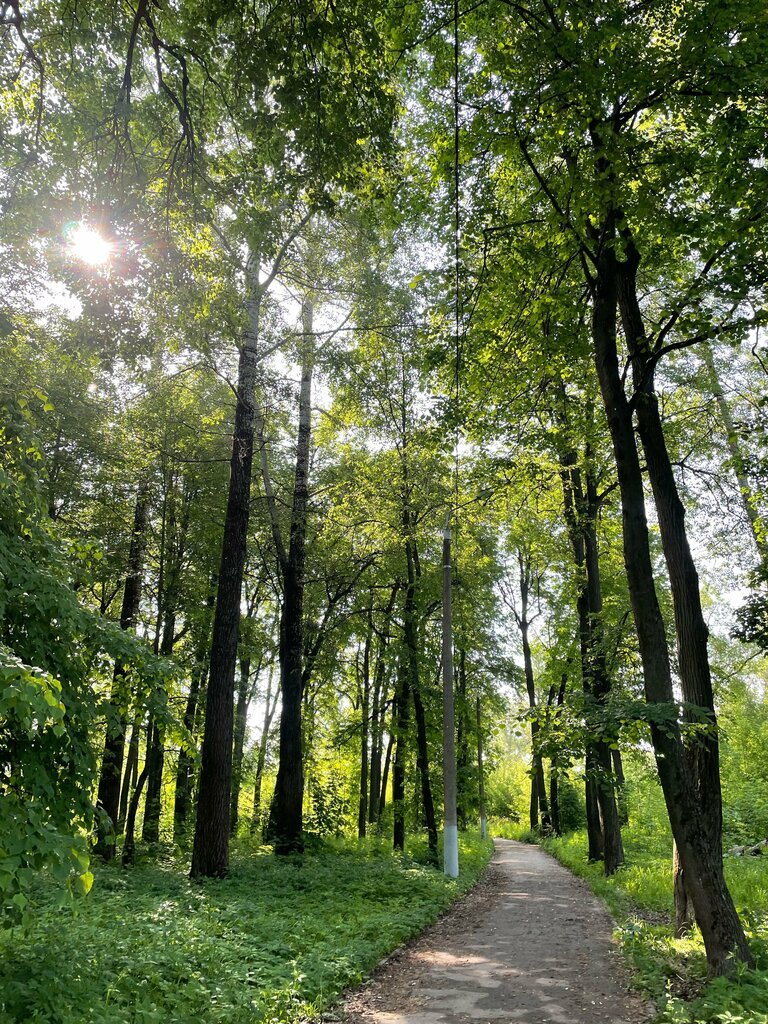 Kültür ve eğlence parkları Баташёвский сад, Tula, foto