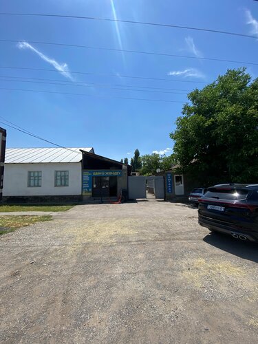 Oto lastik tamiri No. 1 Tire Service, Türkistan eyaleti, foto