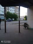 Школа № 7 (Republic of Mari El, Volzhsk, ulitsa Shestakova), toplu taşıma durağı  Volzhsk'tan