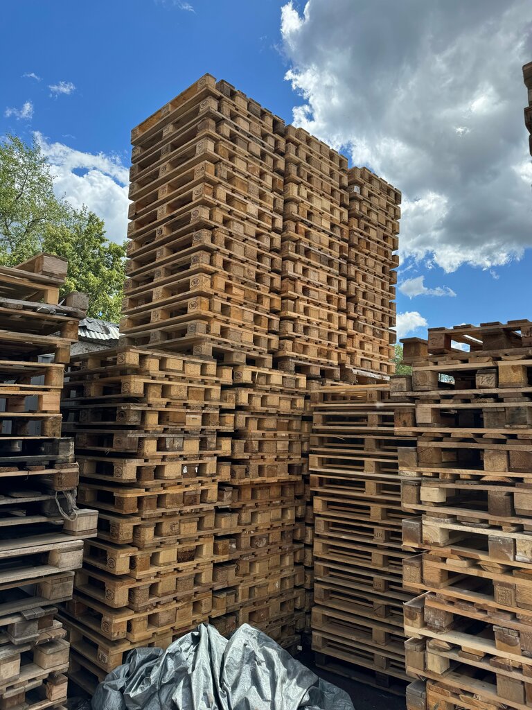 Paletler Pallets, Moskova ve Moskovskaya oblastı, foto