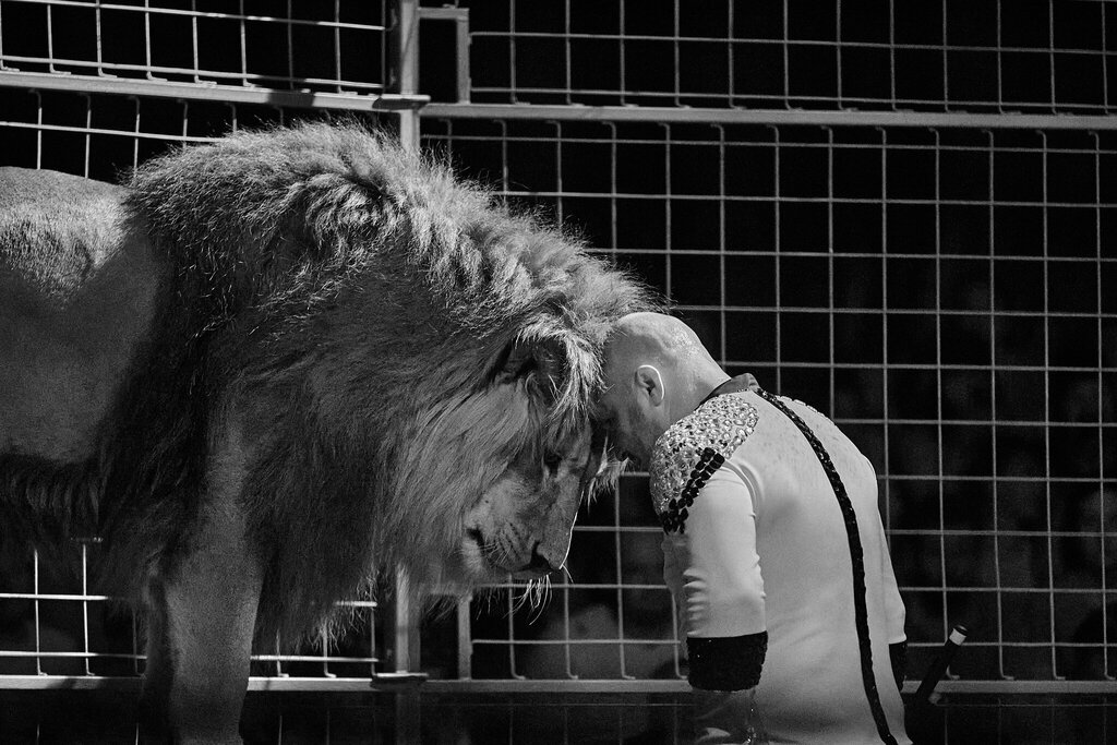 Sirkler Колизеум, Sterlitamak, foto