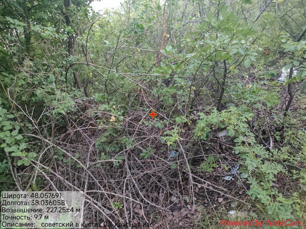 Dağ zirvesi Высота 227 метров, Smolenskaya oblastı, foto