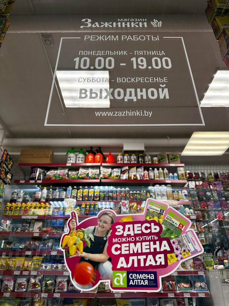 Tohum satan yerler Zazhinki, Minsk, foto