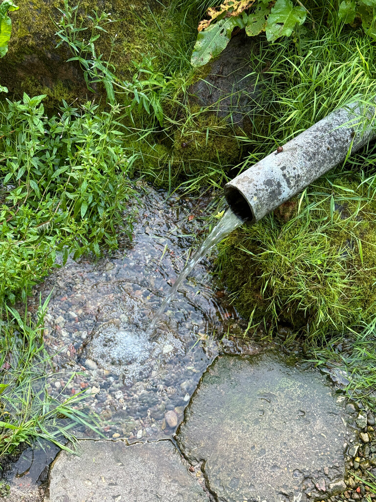 Pınar, çay Spring, stream, Vitebskaya oblastı, foto