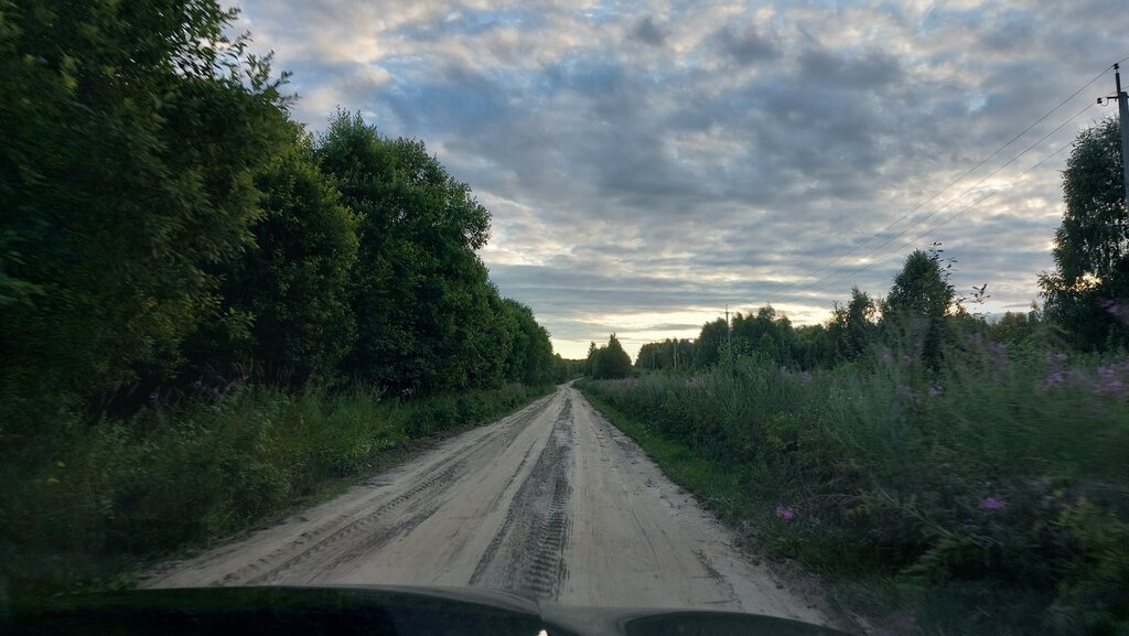 Dağ zirvesi Гора Ермана, Kostromskaya oblastı, foto