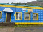 Ариэль (Zavodskaya ulitsa No:30А), otomobil yedek parçaları  Uglegorsk'tan