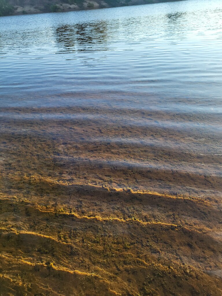 Plaj Пляж, Kostromskaya oblastı, foto