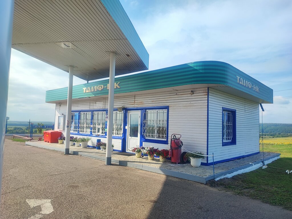 Benzin istasyonu Tatnefteprodukt, Tataristan, foto