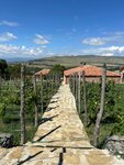 Peradze Wine Cellar (kray Shida Kartli, Gori Municipality, Khidistavi), şaraphane