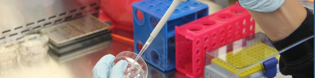 Biyoteknoloji Genada Biyoteknoloji, Ankara, foto