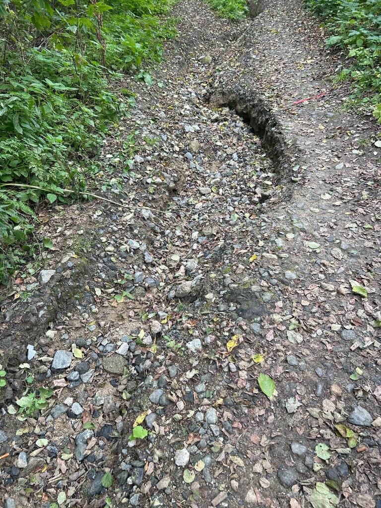 Pınar, çay Ильинский ключ, Sverdlovskaya oblastı, foto