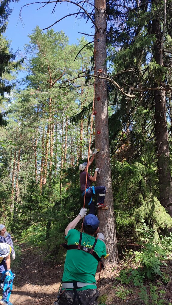 Resort oteller, tesisler База отдыха Ивушка, Udmurtiya, foto