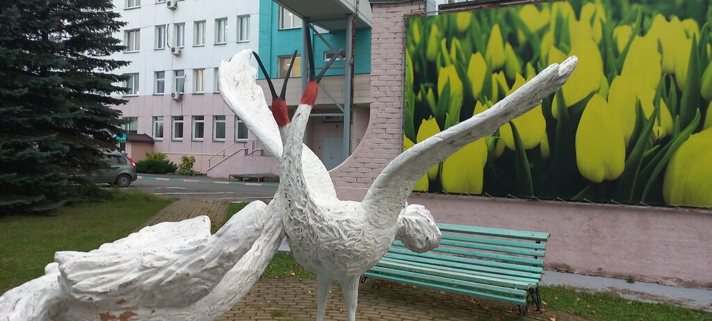 Park, sokak heykeli Танцующие аисты, Çeliabinsk, foto