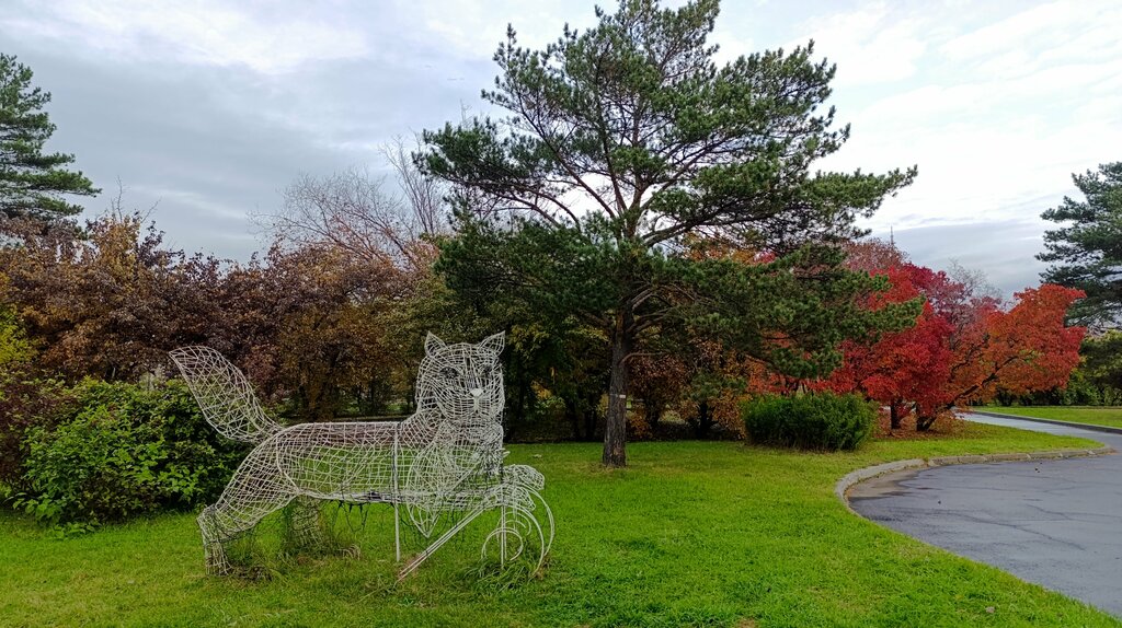 Dekorasyon ve süsleme, onur panosu Бабр, Irkutsk, foto