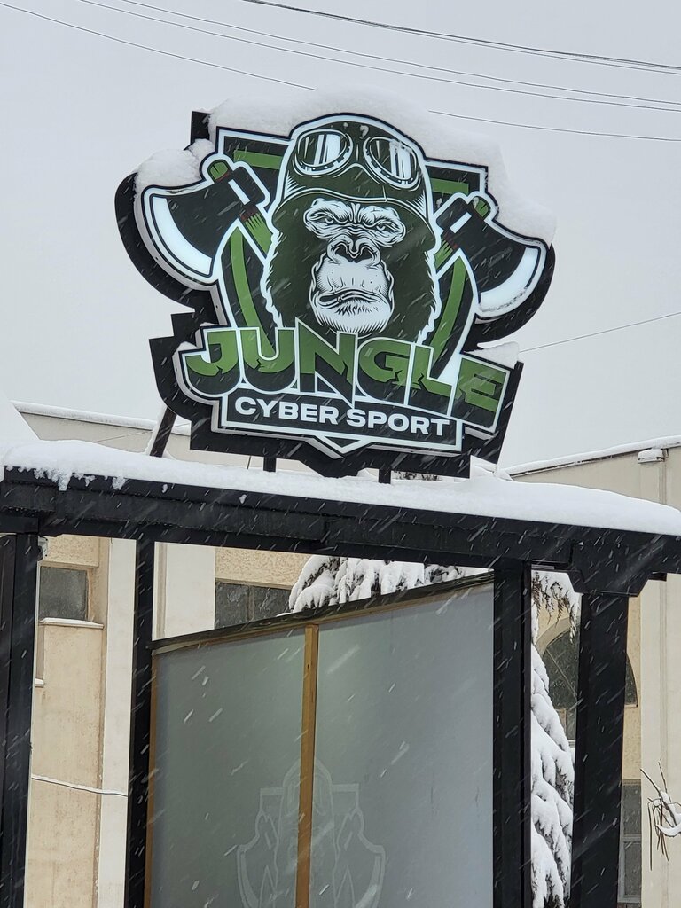 Bilgisayar kulübü Jungle Cybersport, Semerkant, foto