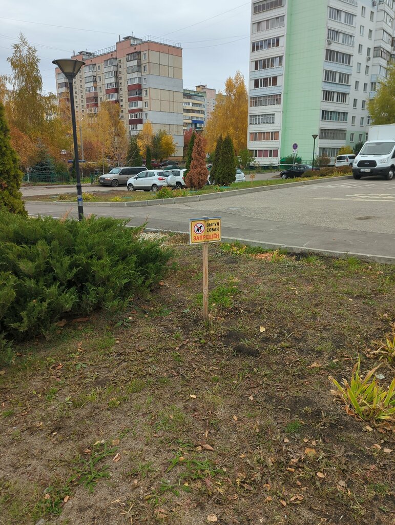 Turistik yerler Аллея мира и дружбы, Penza, foto