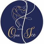 Open Ice (6th Verkhniy Lane No:12Б), spor okulları  Saint‑Petersburg'dan