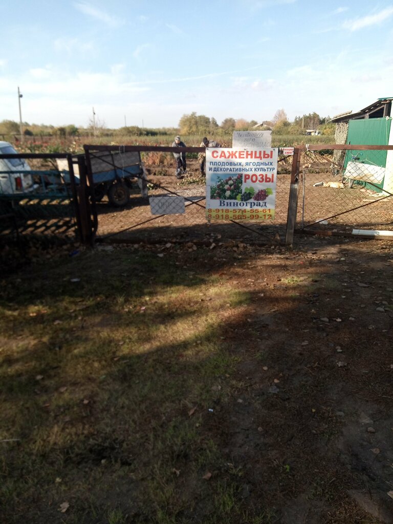 Bahçecilik dernekleri ve kuruluşları Plodopitomnik, Spk, Semikarakorsk, foto