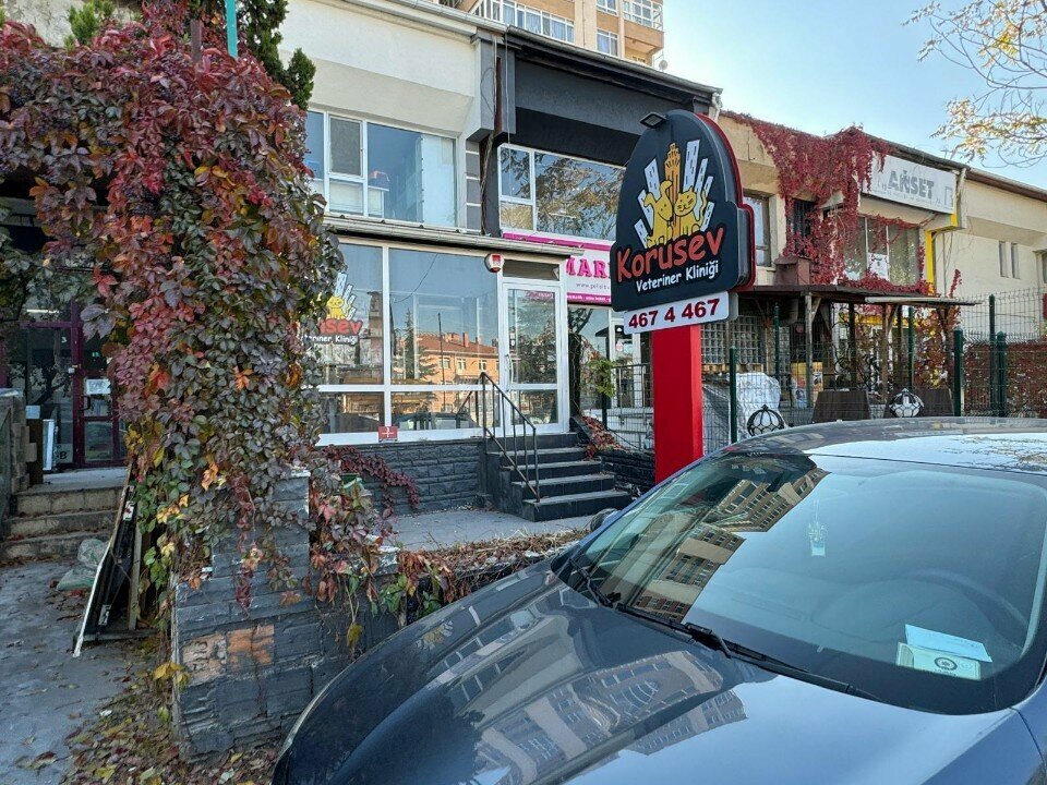 Veteriner klinikleri Korusev Veteriner Kliniği, Ankara, foto