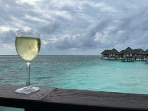 Manta бар (Kaafu atoll, Kanifinolhu island), bar