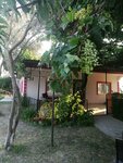 Airport Guest House (Muğla, Dalaman, Kapukargın Mah., Cafer Küme Evleri, 46), otel  Dalaman'dan