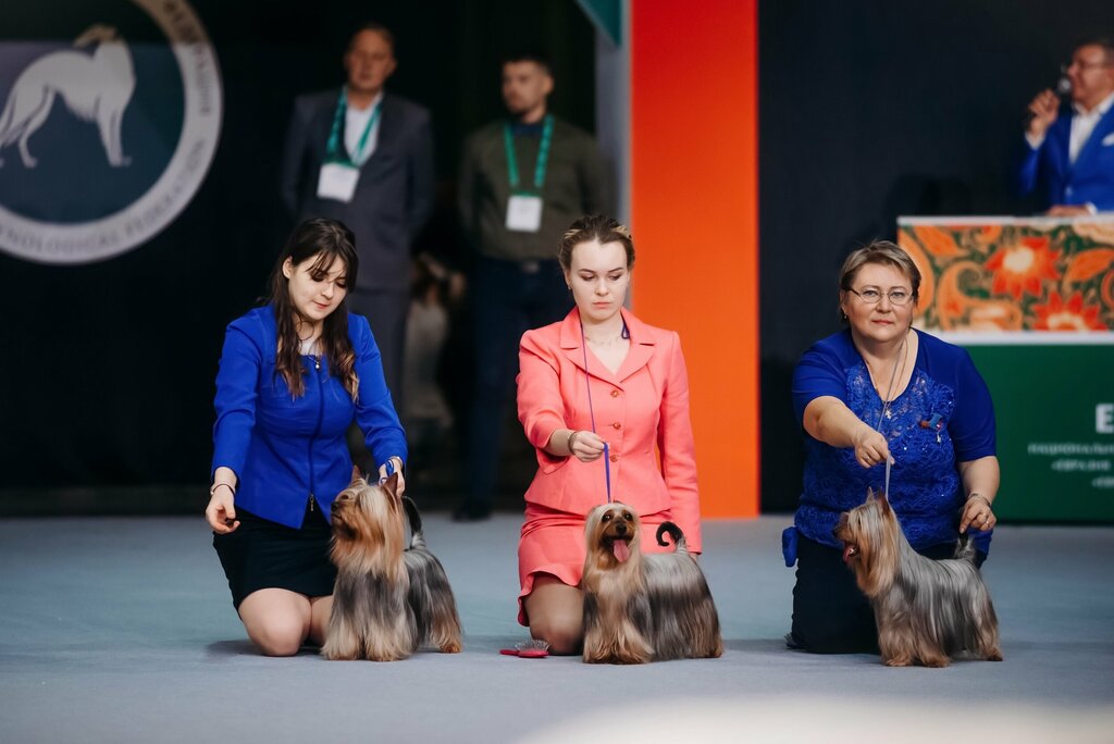 Evcil hayvan yetiştiricileri Beautiful Life, Moskova, foto