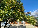 Фортуна (ulitsa Tumanyana No:52, selo Alakhadzy), otel  Gagra Bölgesi'nden
