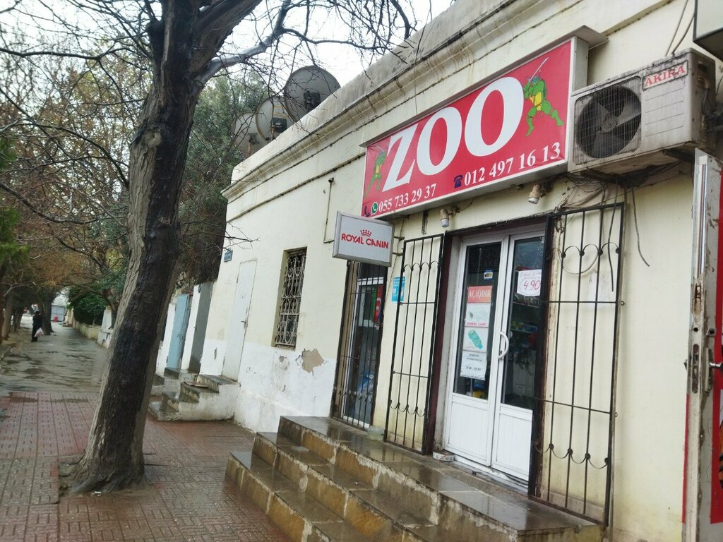 Petshop Zoo, Bakü, foto