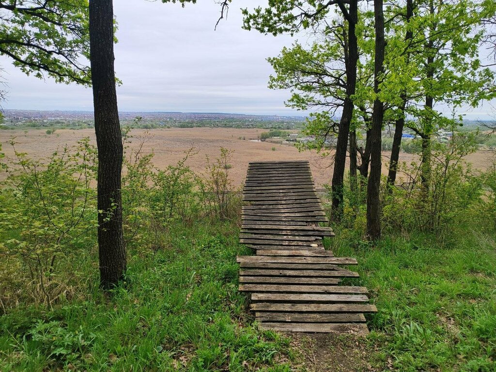 Orman урочище Чёрная Поляна, Belgorodskaya oblastı, foto