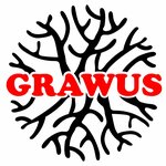 Grawus (No:62, mikrorayon Olimpiyskiy), lazer çalışmaları  Stariy Oskol'dan