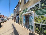 Магазин кондитерских изделий (Sverdlova Street No:108), pasta, şekerleme ve tatlı  Astrahan'dan