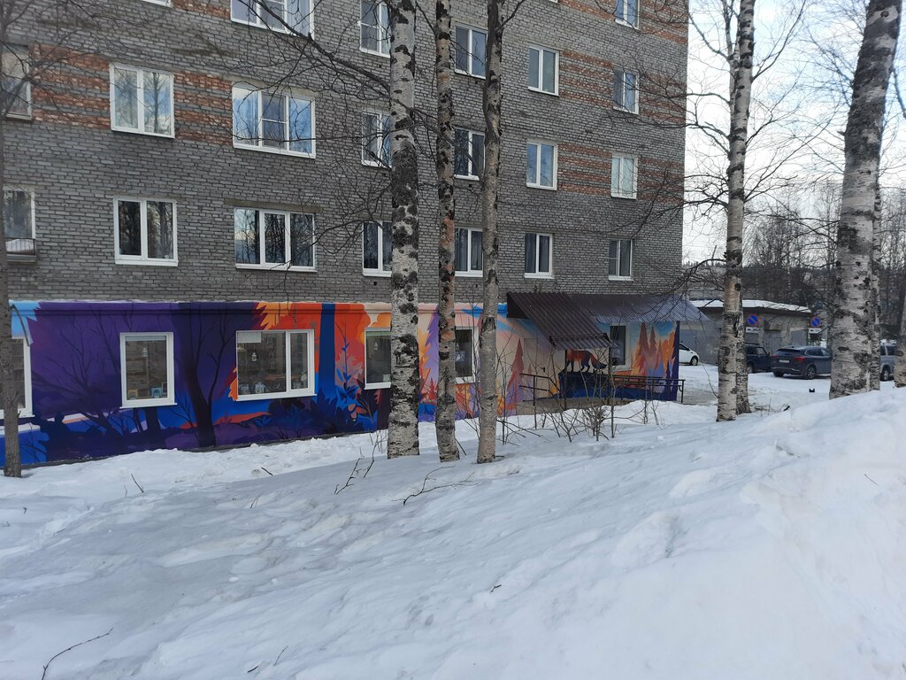 Kütüphaneler Library, branch № 5, Kovdor, foto