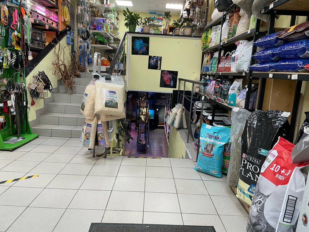 Petshop Jungle, Troitsk, foto