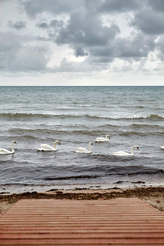 Plaj Пляж № ЕВ-022, Yevpatorya, foto