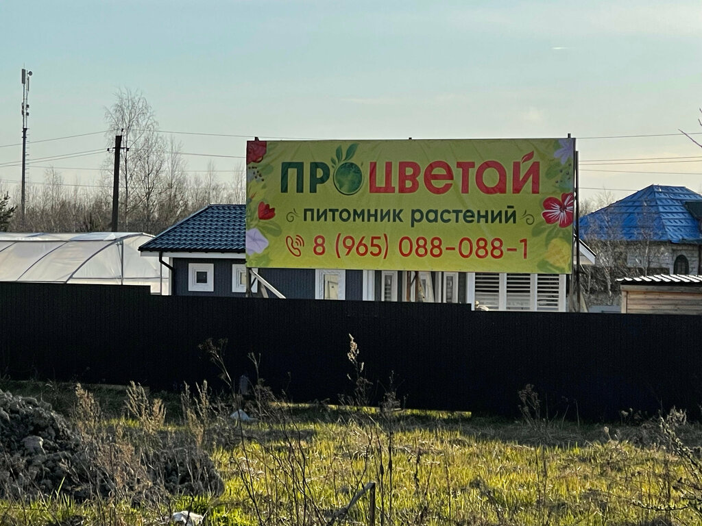 Fidan yetiştiriciliği ПРОцветай, Saint‑Petersburg ve Leningradskaya oblastı, foto