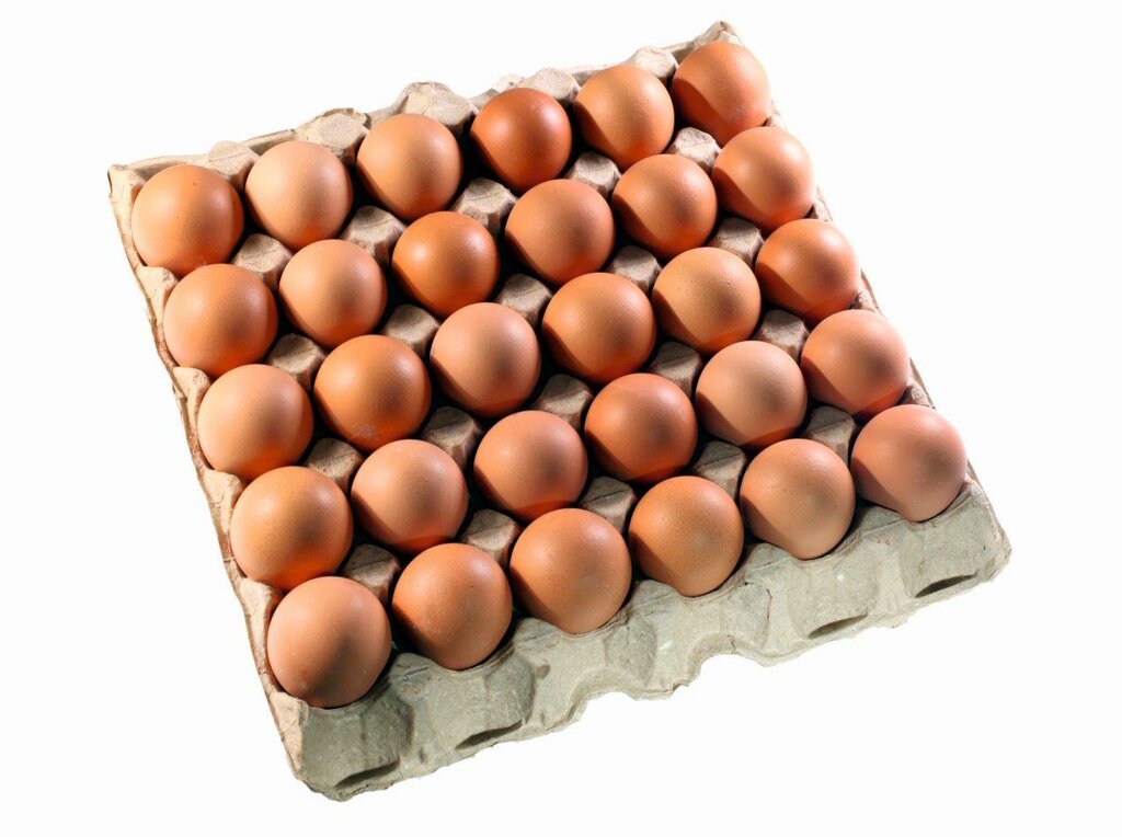 Kanatlı hayvan ürünleri ve yumurta Shop Seymovskaya poultry, Dzerjinsk, foto