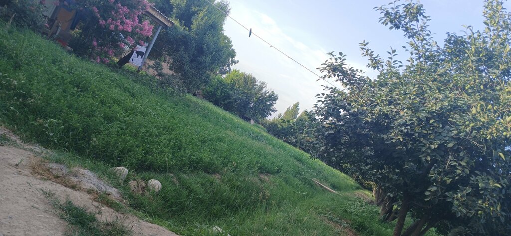 Termal otel Санаторий Хўжаипок, Surhanderya eyaleti, foto