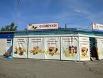Семечки (Chuvash Republic, Cheboksary Urban District, Leninskiy District), kuruyemiş, atıştırmalık, kuru meyve  Cheboksary'den