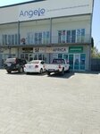 Blueberry Travel Zambia (Lusaka, Silwizya, Chiyanga Road, 79), seyahat acenteleri  Lusaka'dan