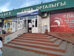 Student (No:39Б, Jastar shaǵyn aýdany), kırtasiyeler  Taldıkorgan'dan