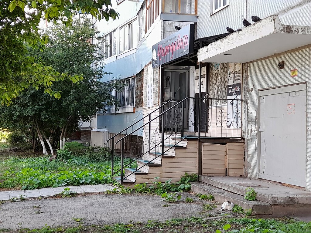 Güzellik salonu Charodeyka, Tolyatti (Togliatti), foto