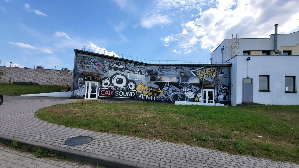 Elektrikli cihazların tamiri Ремонт стартеров и генераторов, Minsk, foto