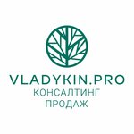 Vladykin. Pro (Tkachey Street No:23Б), danışmanlık hizmetleri  Yekaterinburg'dan