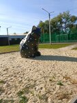 Sports ground (Tambov Region, Kirsanov), spor alanı  Kirsanov'dan